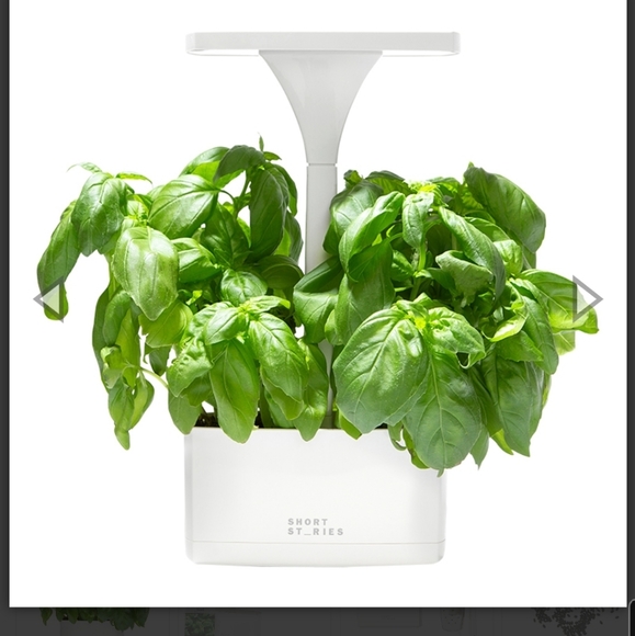 short story | Other | Short Story Indoor Planter | Poshmark